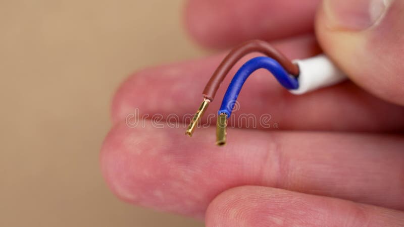 Stripped and Ready To Connect Electrical Wires with Copper Tips Stock ...