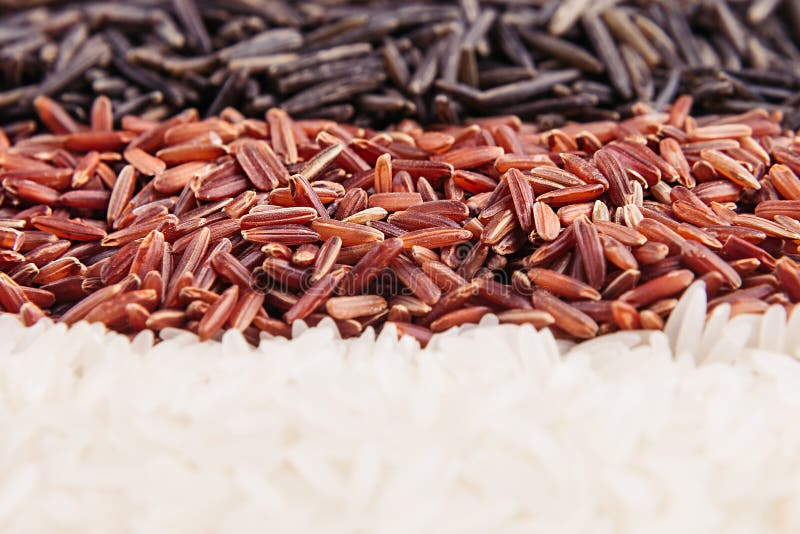 Strips of Red, Black and White Rice Close-up. Stock Photo - Image of ...