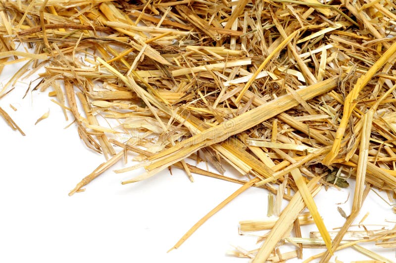 Stro stock afbeelding. Image of gouden, landbouwgrond - 17478335