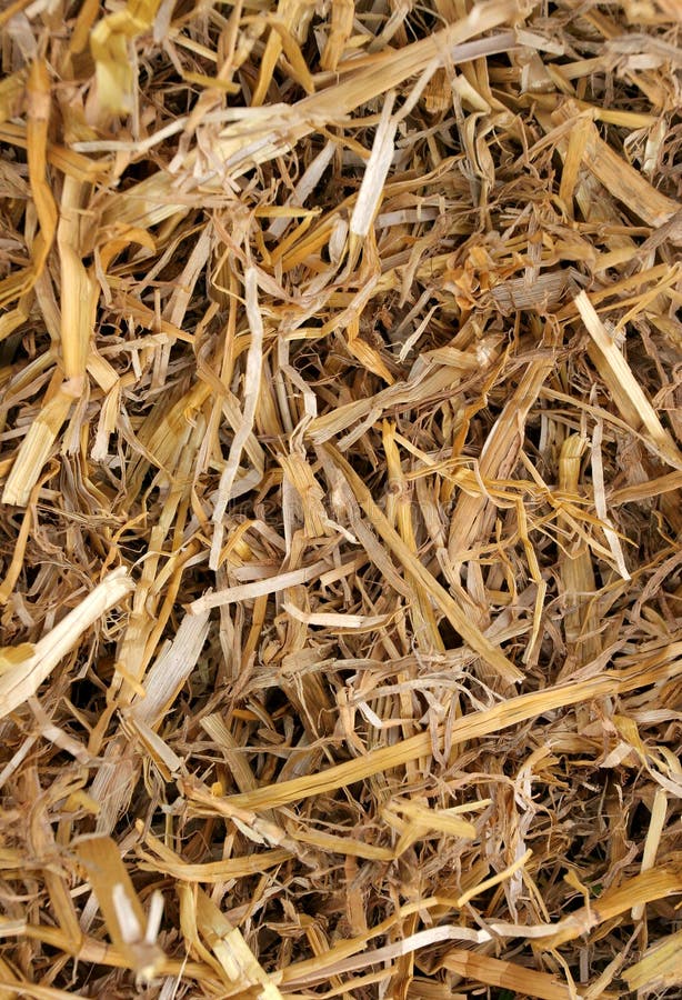 Stro stock afbeelding. Image of naughty, patronen, industrie - 2389199