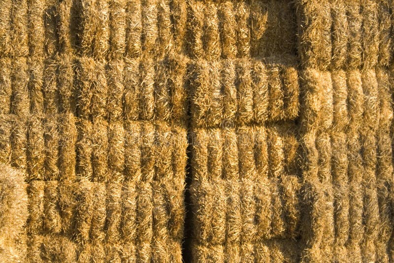 Stro stock foto. Image of geel, landbouwbedrijf, gras - 4760864