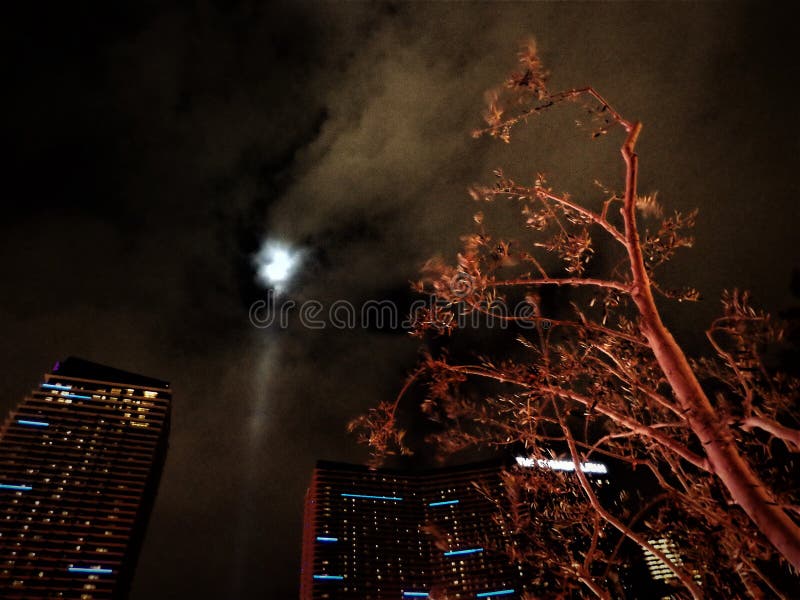 Strobe Light Over Las Vegas Strip Stock Image - Image of branches ...