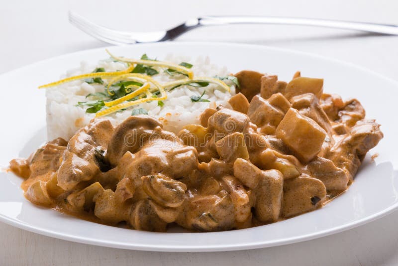 Stroganoff with rice stock image. Image of meat, dinner - 76010473