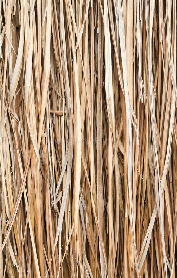 Stroh, Das Aufgebaut Wurde, Ist Eine Wand. Stockfoto - Bild von trocken ...