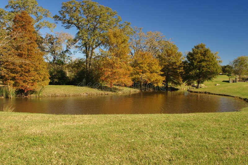 A stroll in the park stock photo. Image of green, fall - 567832
