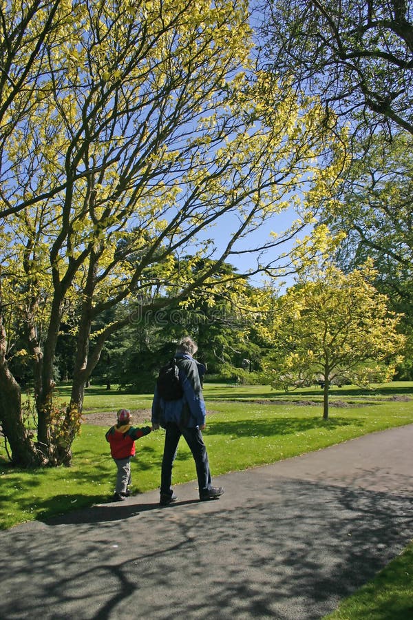 Taking A Stroll In The Park Stock Photo - Image of cheerful, bush: 82311656