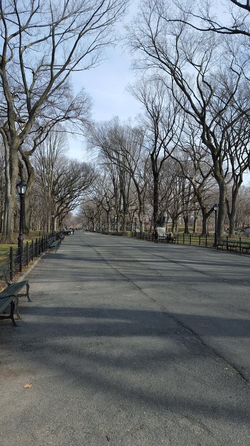 A stroll in the park editorial stock image. Image of central - 70218234