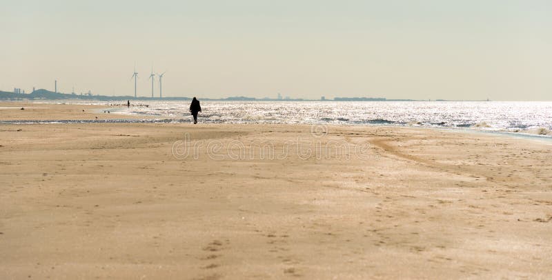 Strolling on a Beach Along the Sea Stock Image - Image of north, water ...