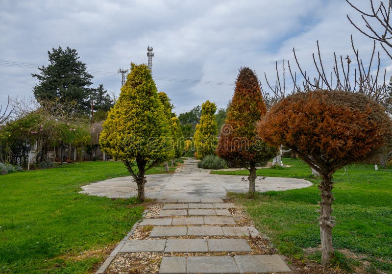 Strolling through a Serene Garden Path Lined with Beautifully Shaped ...