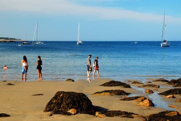 Ann Rohmer Pics Stock Photos - Free & Royalty-Free Stock Photos from ...