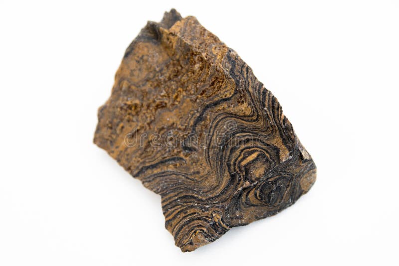 Stromatolite stock image. Image of cyannobacteria, photosynthese - 29450755