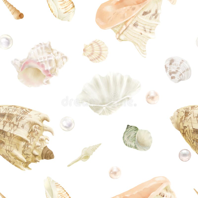 Strombus Shells, Cornuta Cassis, and Glittering Pearls from the Ocean S ...