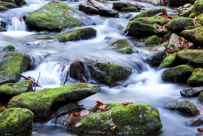 Stromend water stock foto. Image of stromend, wild, rood - 37625122