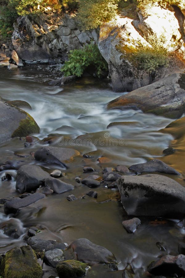 Stromend Water Over Rotsen En Keien Stock Afbeelding - Image of ...