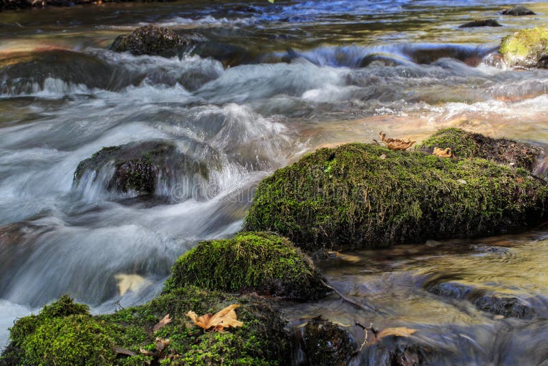 Stromend Water Over Stenen Met Groen Mos Stock Foto - Image of ...