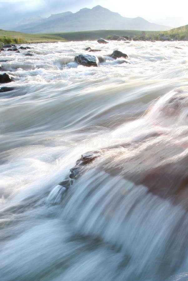 Stromend Water. Rivier in Het Bos Stock Foto - Image of hoog ...