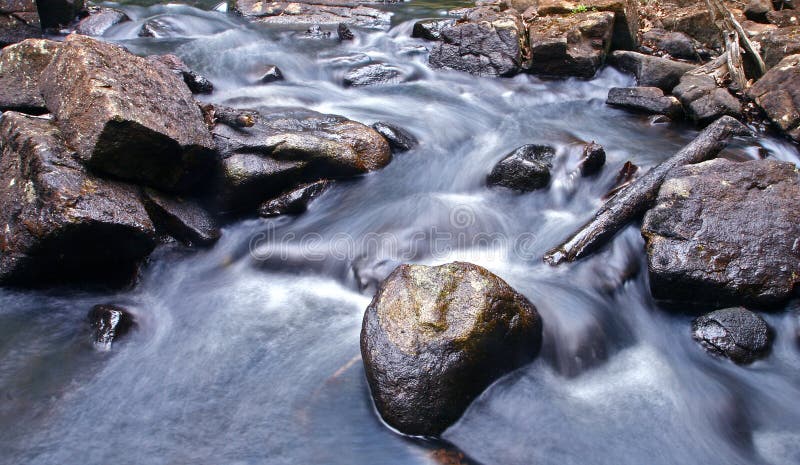 Stromend Water. Rivier in Het Bos Stock Foto - Image of hoog ...