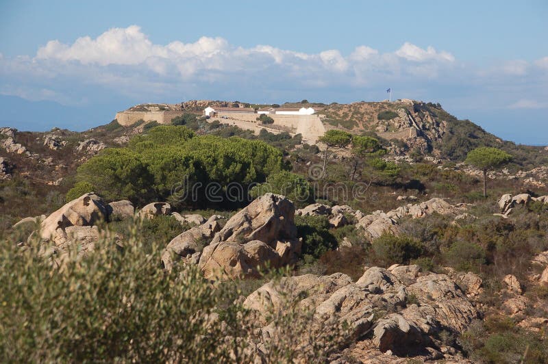 Strong Arbuticci Stock Photos - Free & Royalty-Free Stock Photos from ...