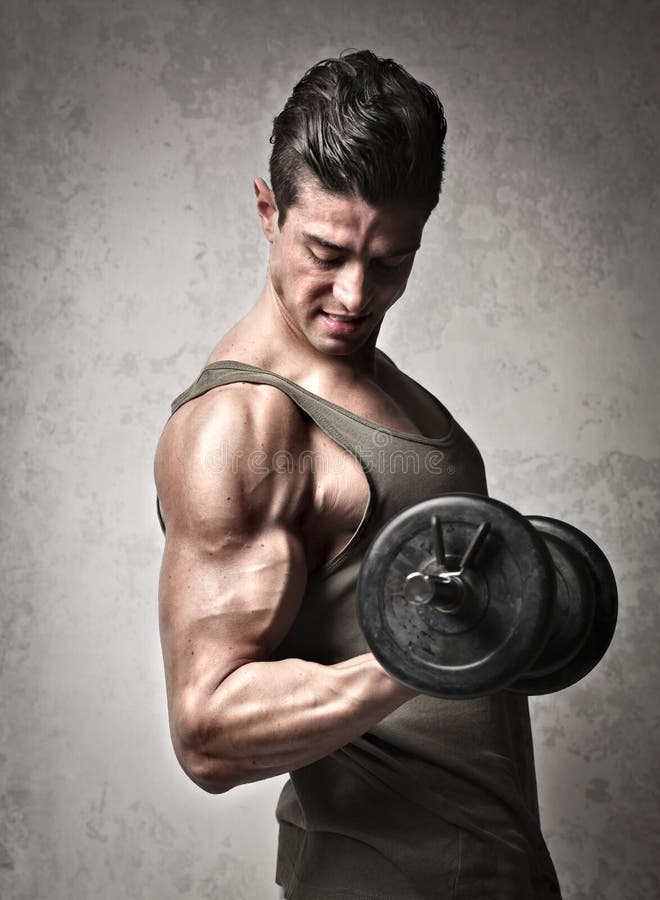 Strong Arm stock image. Image of adult, beautiful, muscle - 28041961
