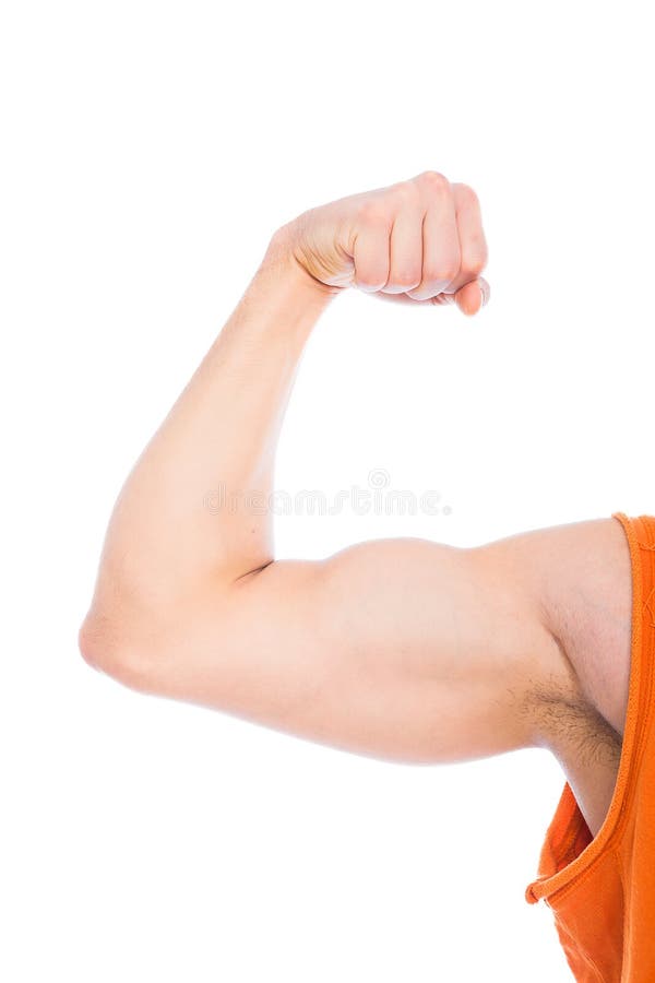 Strong arm on white stock photo. Image of muscle, healthy - 38001332