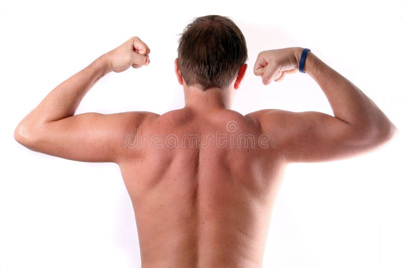 Crazy stock photo. Image of notebook, isolated, school - 2806084