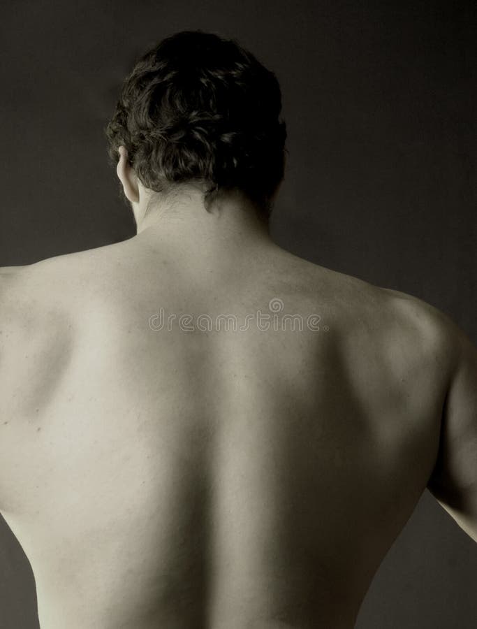 Strong back stock photo. Image of therapy, strong, chiropractic - 337982