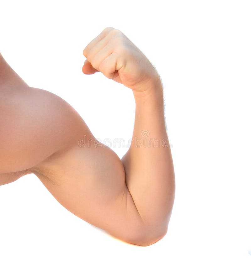 Strong bicep stock photo. Image of sport, beauty, macho - 8460430