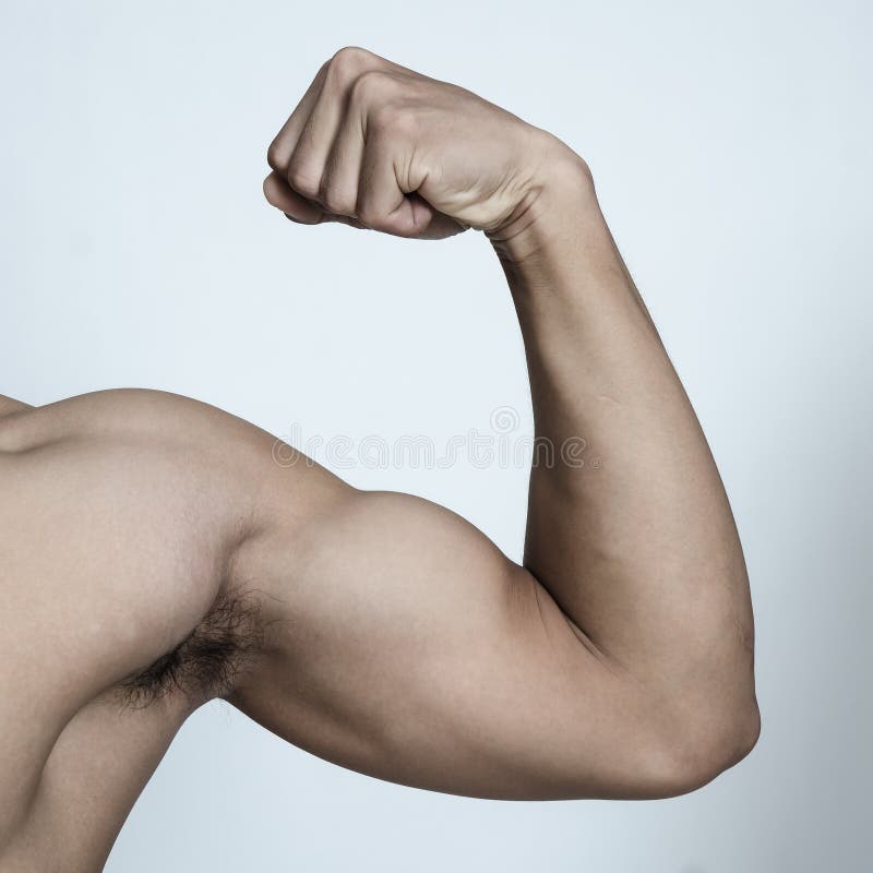 Strong biceps stock photo. Image of healthy, health, adult - 53953614