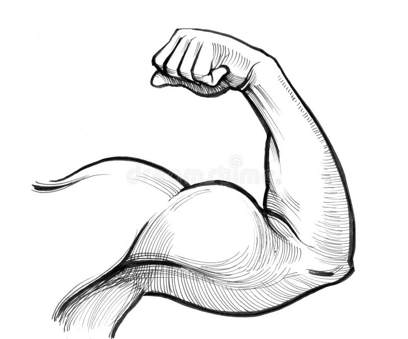 Strong biceps stock illustration. Illustration of strong - 92547335
