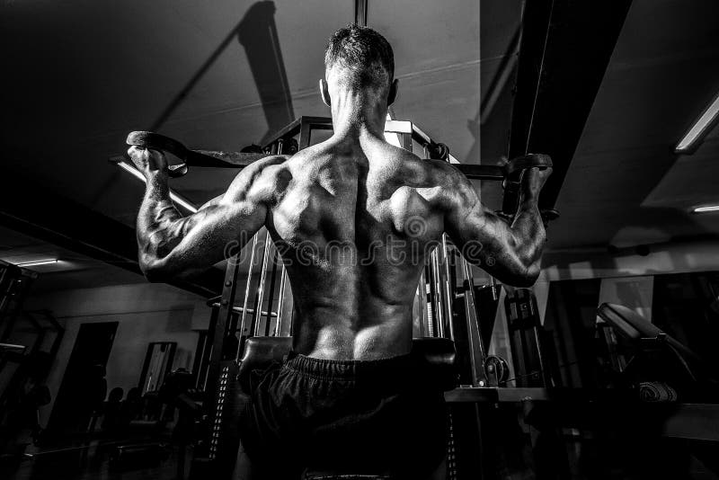 Strong Bodybuilder Doing Heavy Weight Exercise for Back Stock Image ...