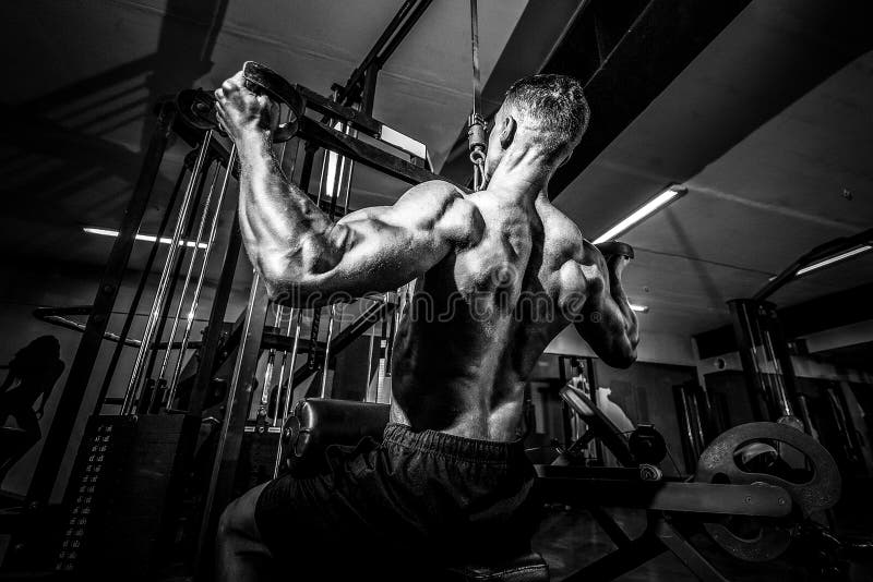 Strong Bodybuilder Doing Heavy Weight Exercise for Back Stock Image ...