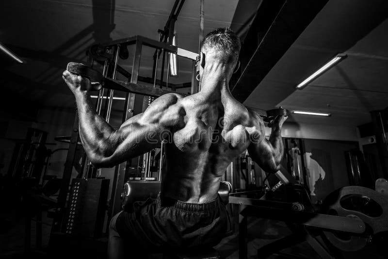 Strong Bodybuilder Doing Heavy Weight Exercise for Back Stock Photo ...