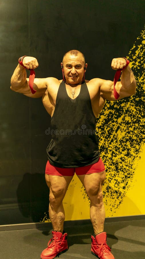 Strong Bodybuilder Man Training in Gym in Madrid Stock Image - Image of ...