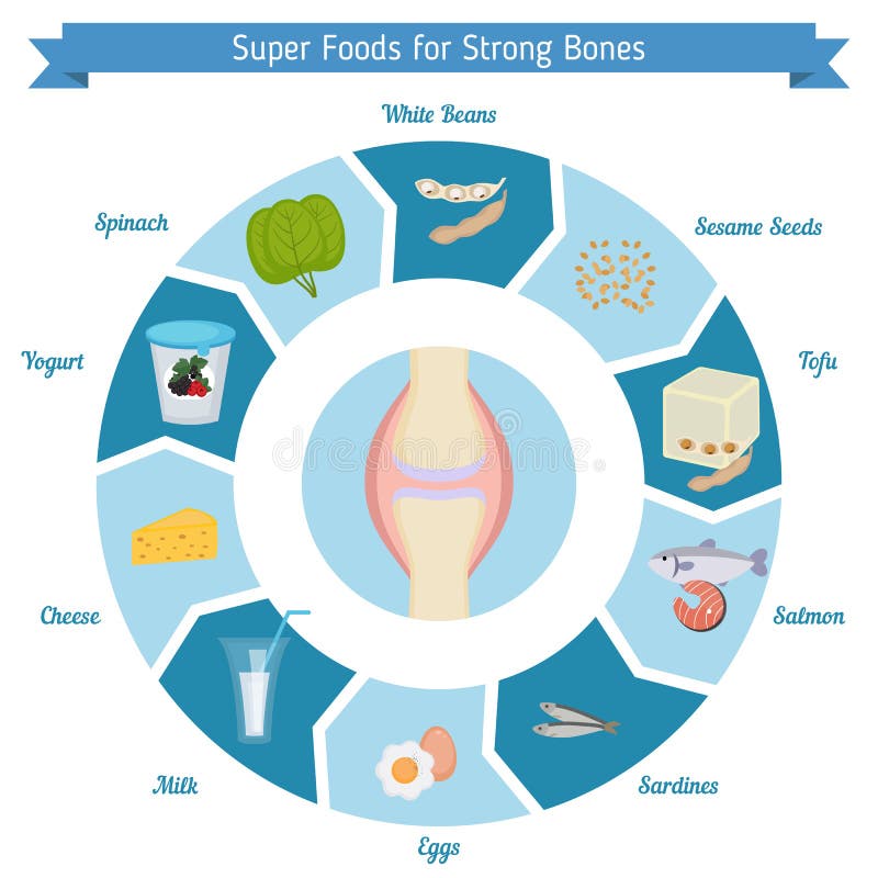 Strong bones icon Free Stock Photos - StockFreeImages