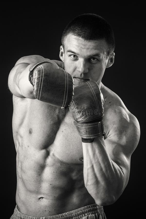 Strong Boxer on a Black Background Stock Image - Image of body, black ...