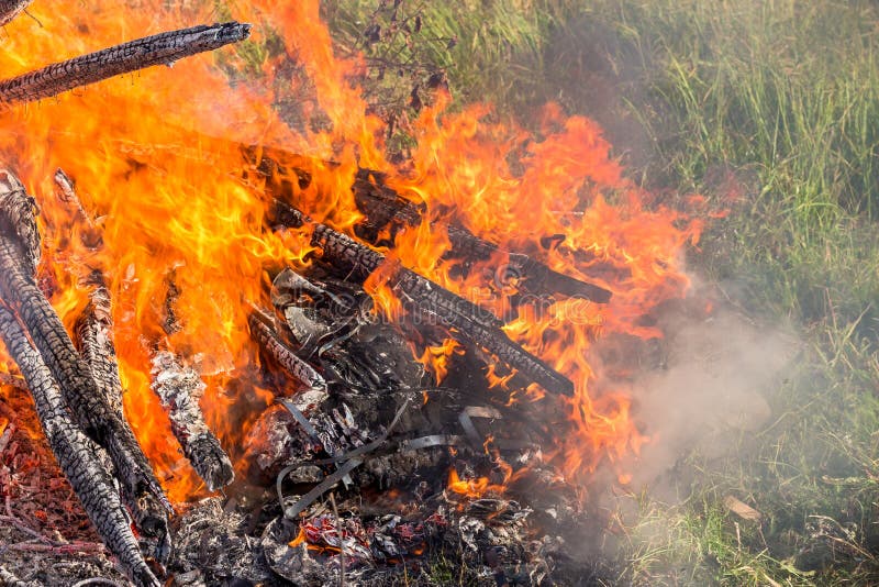 Strong Bright Flame of a Large Fire in the Middle of a Green Field ...