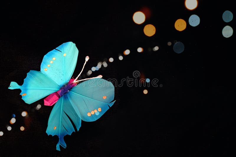 A Blue Butterfly Flies To the Light Stock Image - Image of purple ...