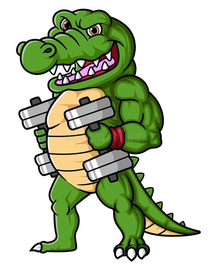 Strong Crocodile Lifting Dumbbell Cartoon Character Stock Vector ...