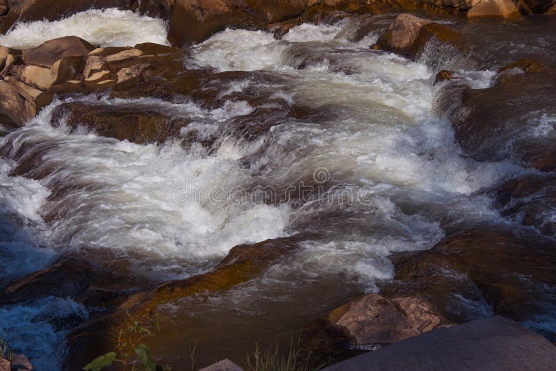 Strong Current of the River in the Forest Stock Image - Image of ...