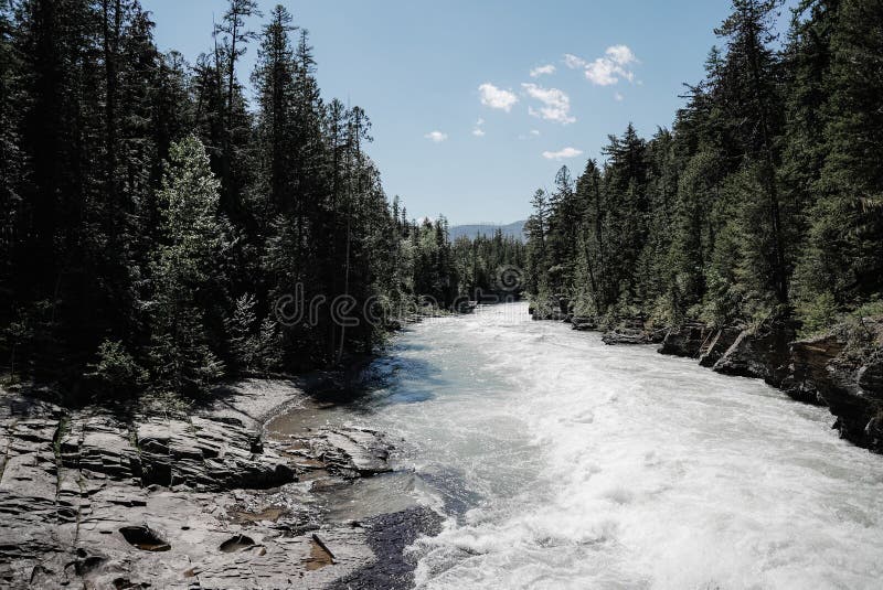 Strong Current River with Tall Tress on the Side Stock Image - Image of ...