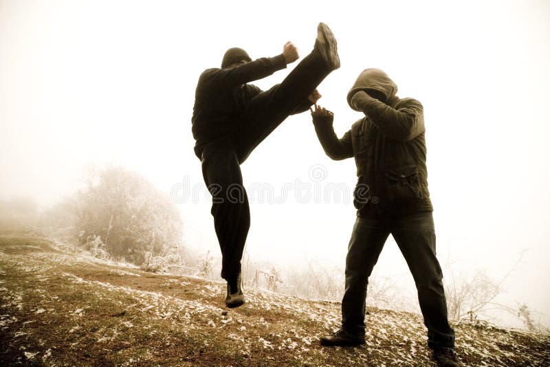 Strong fight stock image. Image of pair, fight, active - 2522429