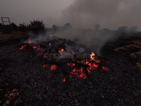 Strong Fire in Empty Field, Smokey Fire Stock Image - Image of farm ...