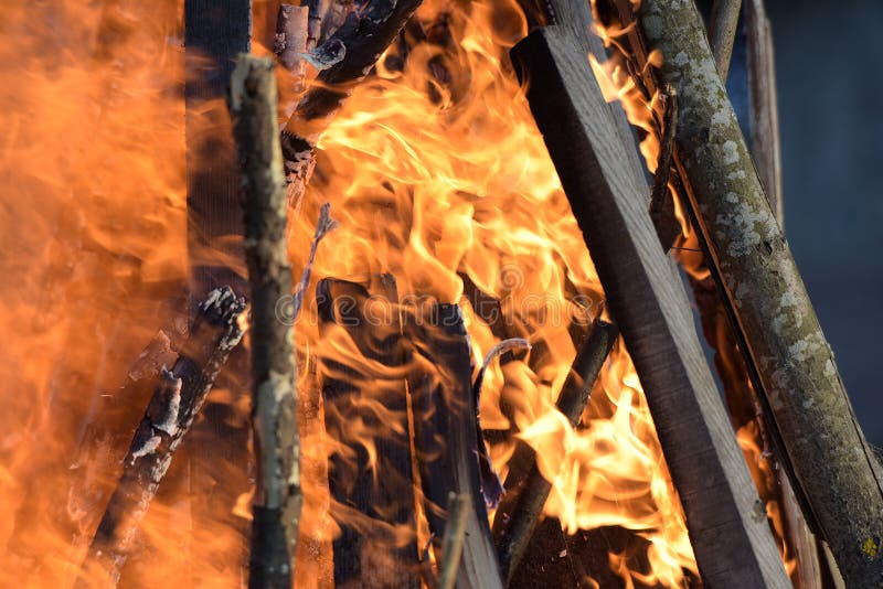 Strong fire flames stock image. Image of circle, chestnuts - 55729375