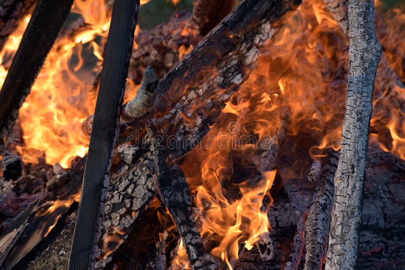 Strong fire flames stock image. Image of flames, campfire - 55732939