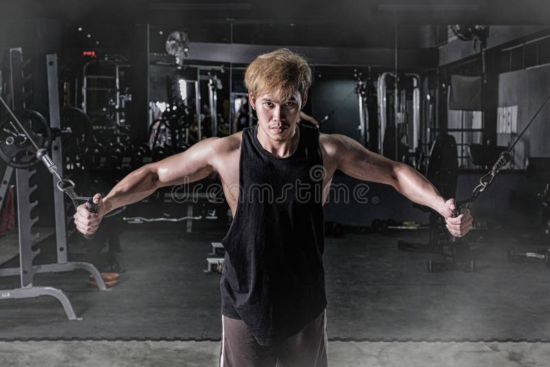 Strong Fitness Man Doing Arm Workout with Cable Machine in the Gym ...