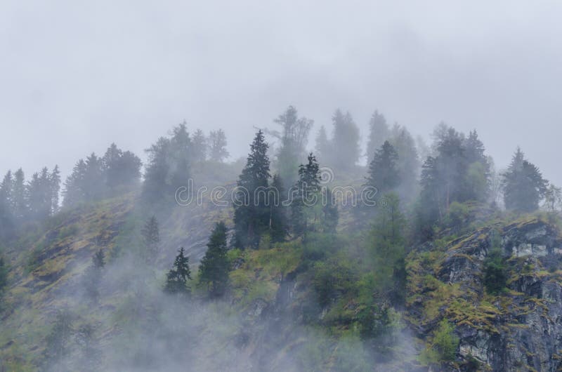Strong Fog and Trees on the Mountain Stock Photo - Image of climbing ...