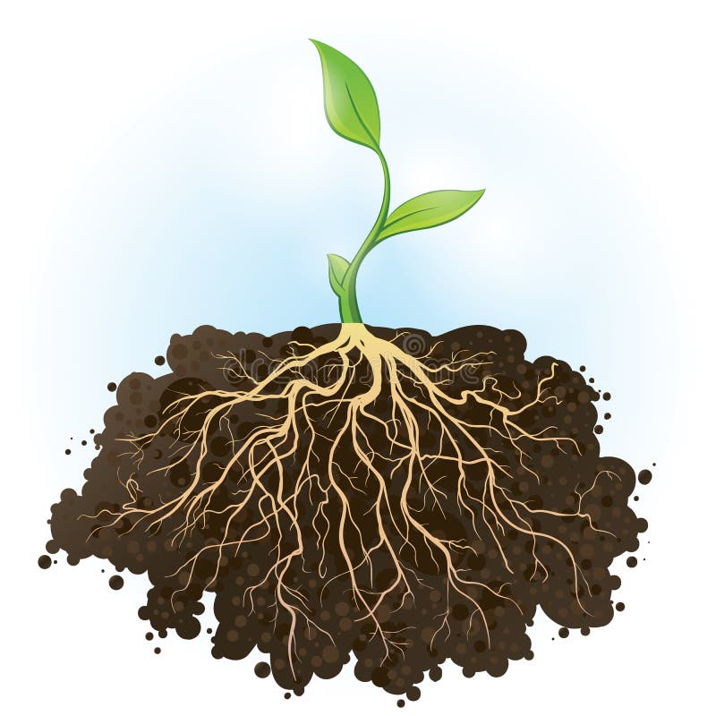 Tree with Roots Plant Roots Soil Stock Vector - Illustration of biology ... Tree with Roots Plant Roots Soil Stock Vector - Illustration of biology ...