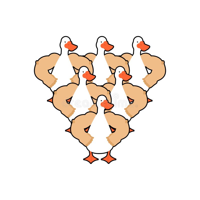 Strong Goose Gang. Powerful Waterfowl Group Stock Vector - Illustration ...