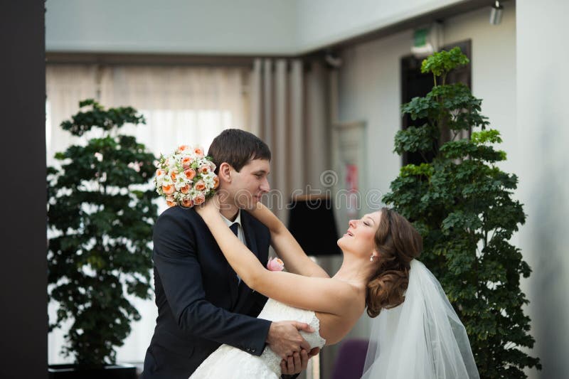 Strong Groom Holds His Bride Stock Image - Image of luxury, love: 65867841