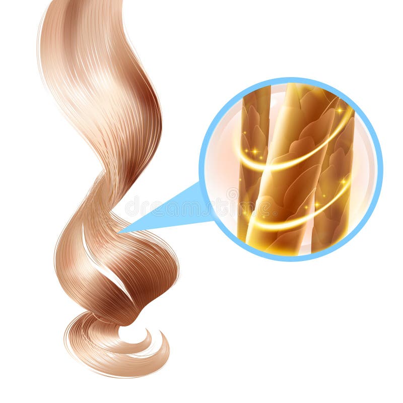Keratin Effect Stock Illustrations – 80 Keratin Effect Stock ...